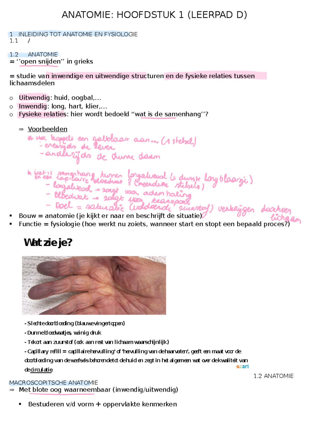 Samenvatting Anatomie H1 - Arteveldehogeschool - Studocu