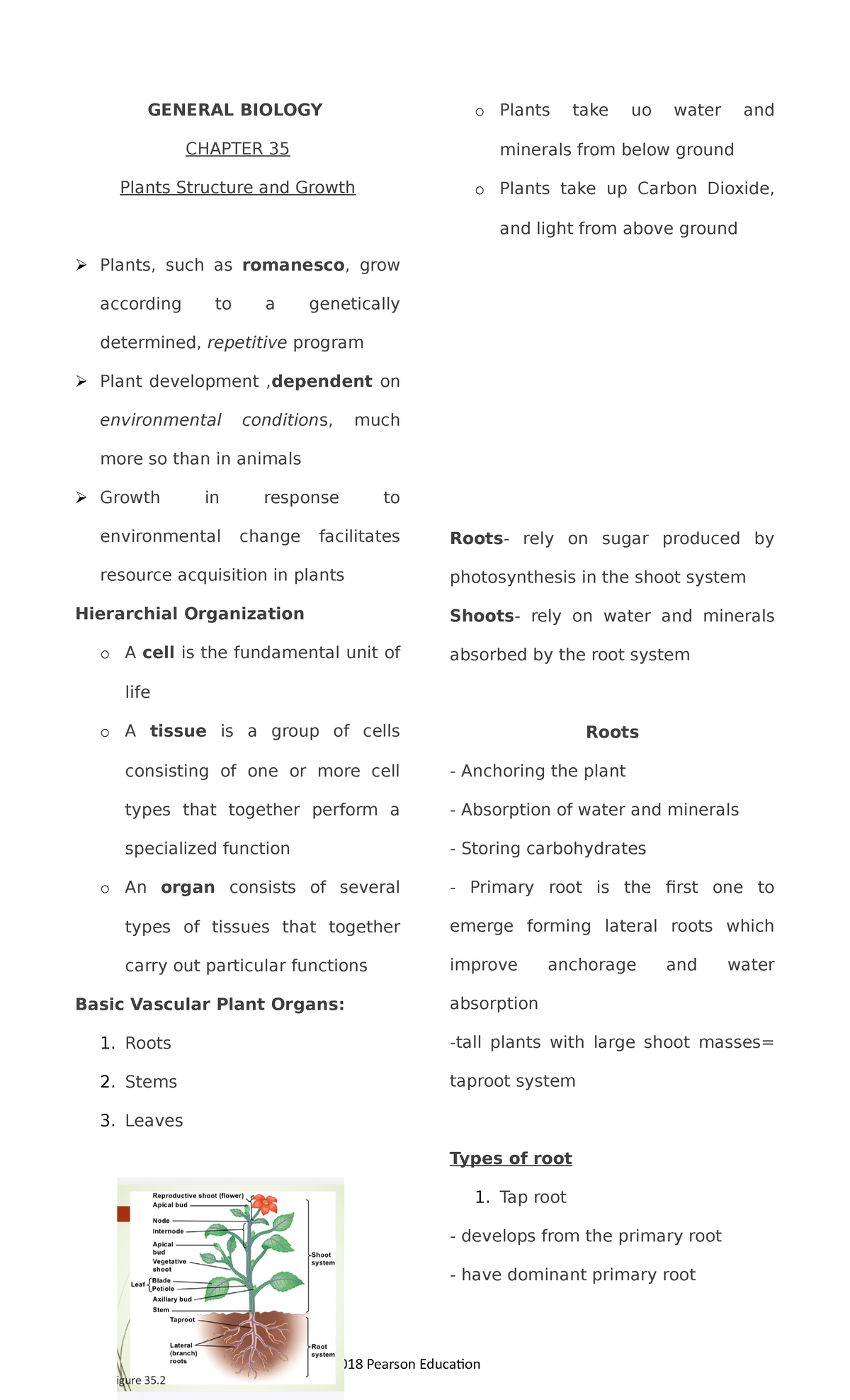 General Biology 2nd sem - GENERAL BIOLOGY CHAPTER 35 Plants Structure ...