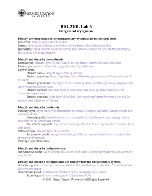 1 Anatomy Phys Homeostasis Review Guide - Name: Jenifer Velazquez ...