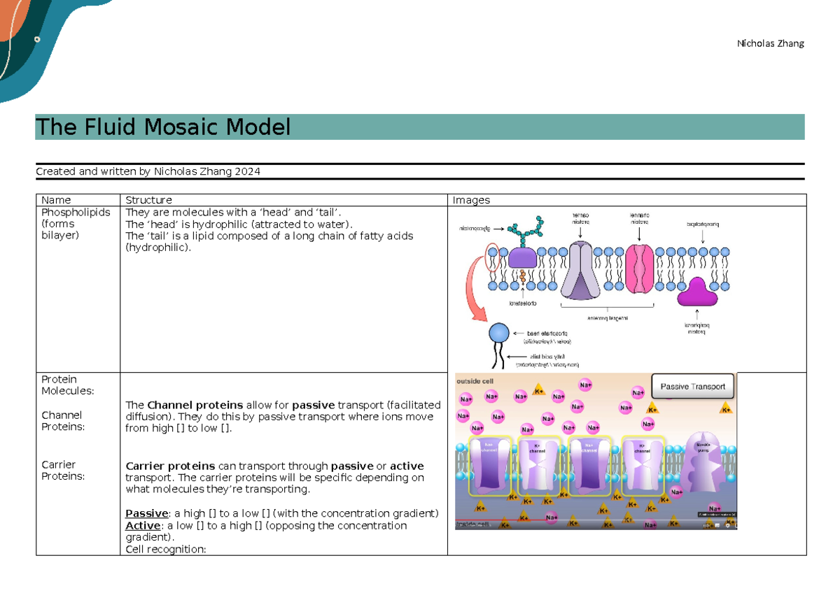 M1 IQ1 B3 – The Fluid Mosaic Model - Nicholas Zhang The Fluid Mosaic ...