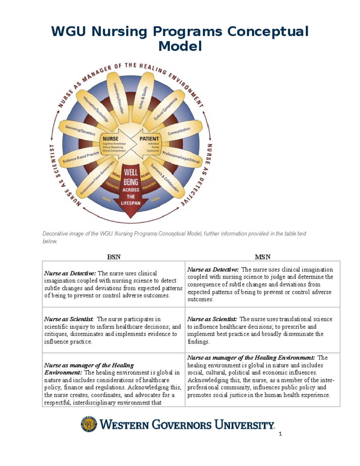 WGU Nursing Programs Conceptual Model - BSN MSN Nurse as Detective: The ...