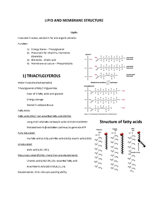 MSRA+Practice+Paper+V2+Updated - MULTI-SPECIALTY RECRUITMENT ASSESSMENT ...