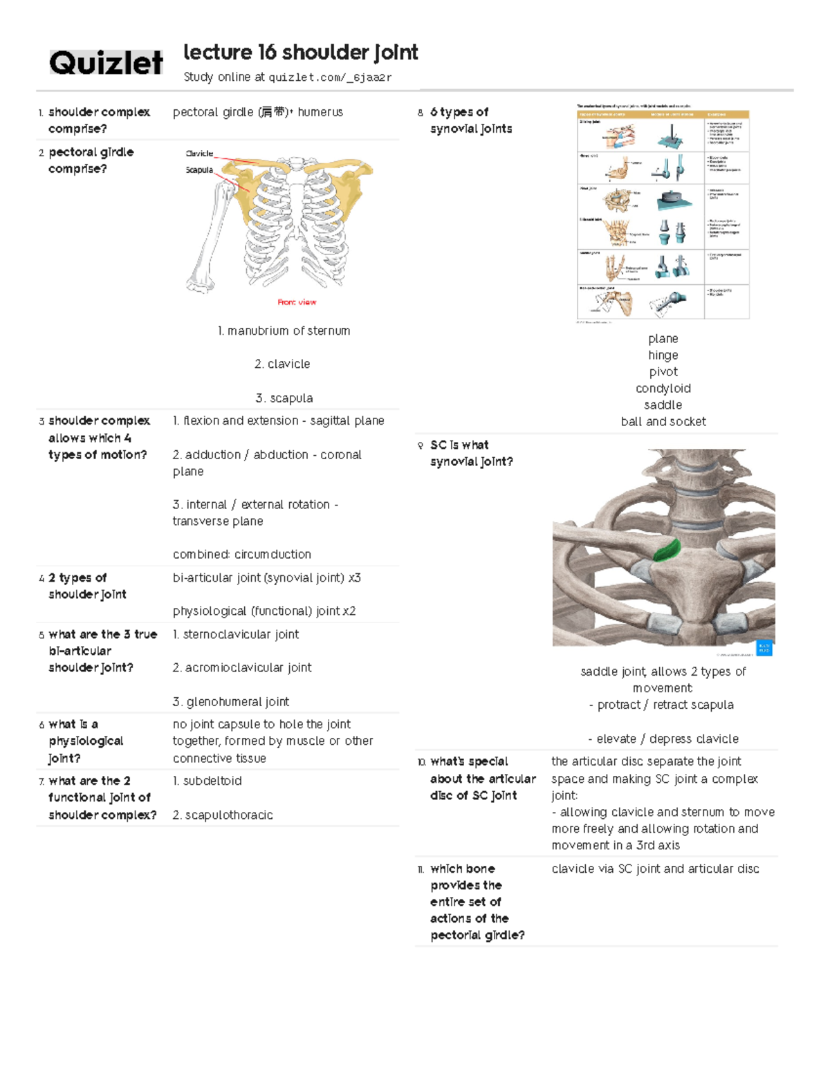 Shoulder Joint Complex 1 Complex Comprise Pectoral Girdle shoulder-joint-complex-1-complex-comprise-pectoral-girdle