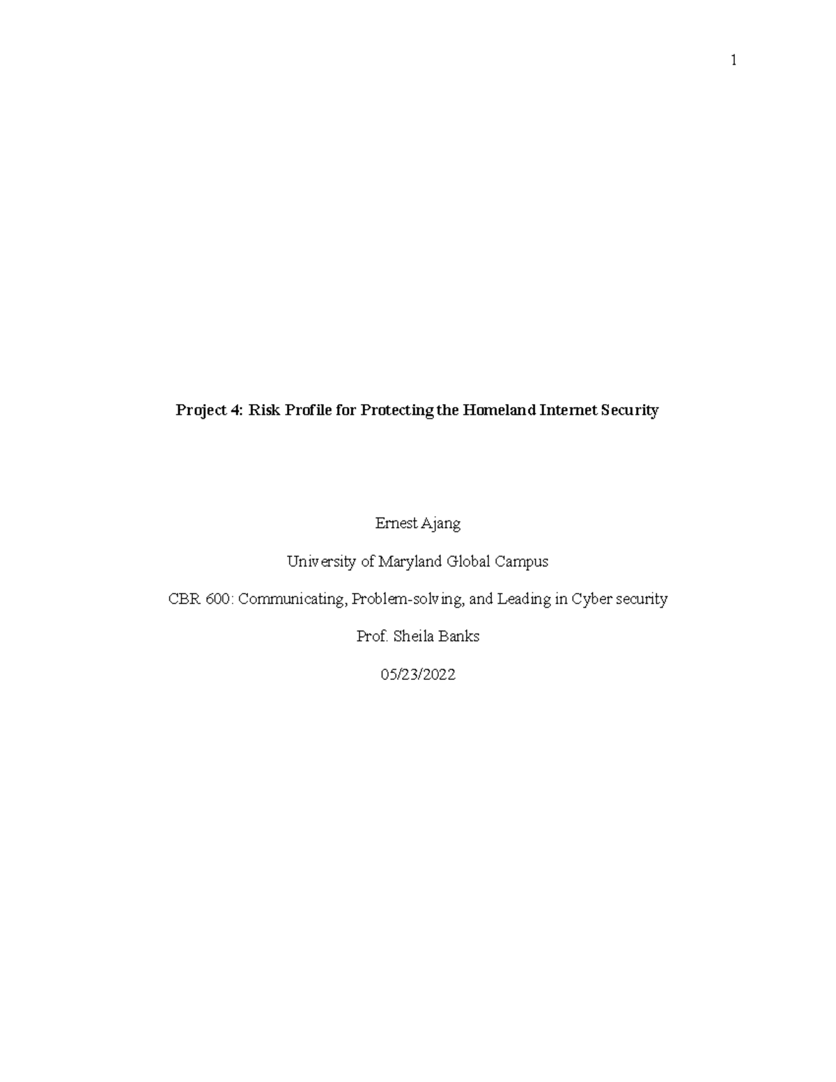 Project 4- Profile Matrix - Final Copy - Project 4: Risk Profile for ...