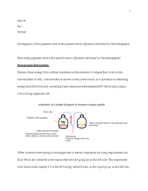 Unit 2 Summative task AMY NI MYP5B - MYP 5B Amy Ni Individuals ...