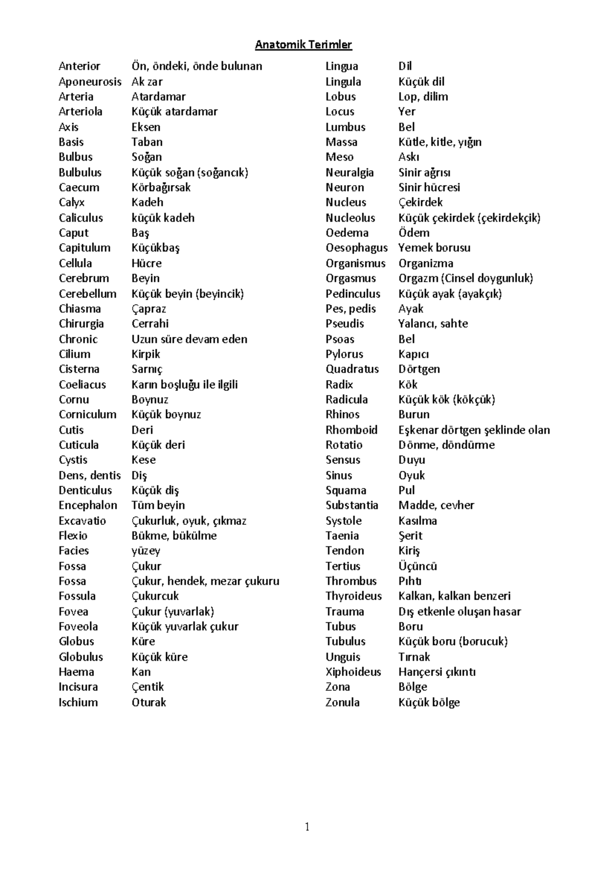 Anatomik terimler - Anatomi ders notları - Anatomik Terimler 1 Anterior Ön, öndeki, önde bulunan ...