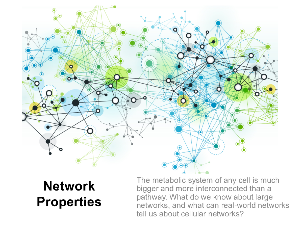 Lecture 11 2020 Mol Eng Network Properties - Network Properties The ...