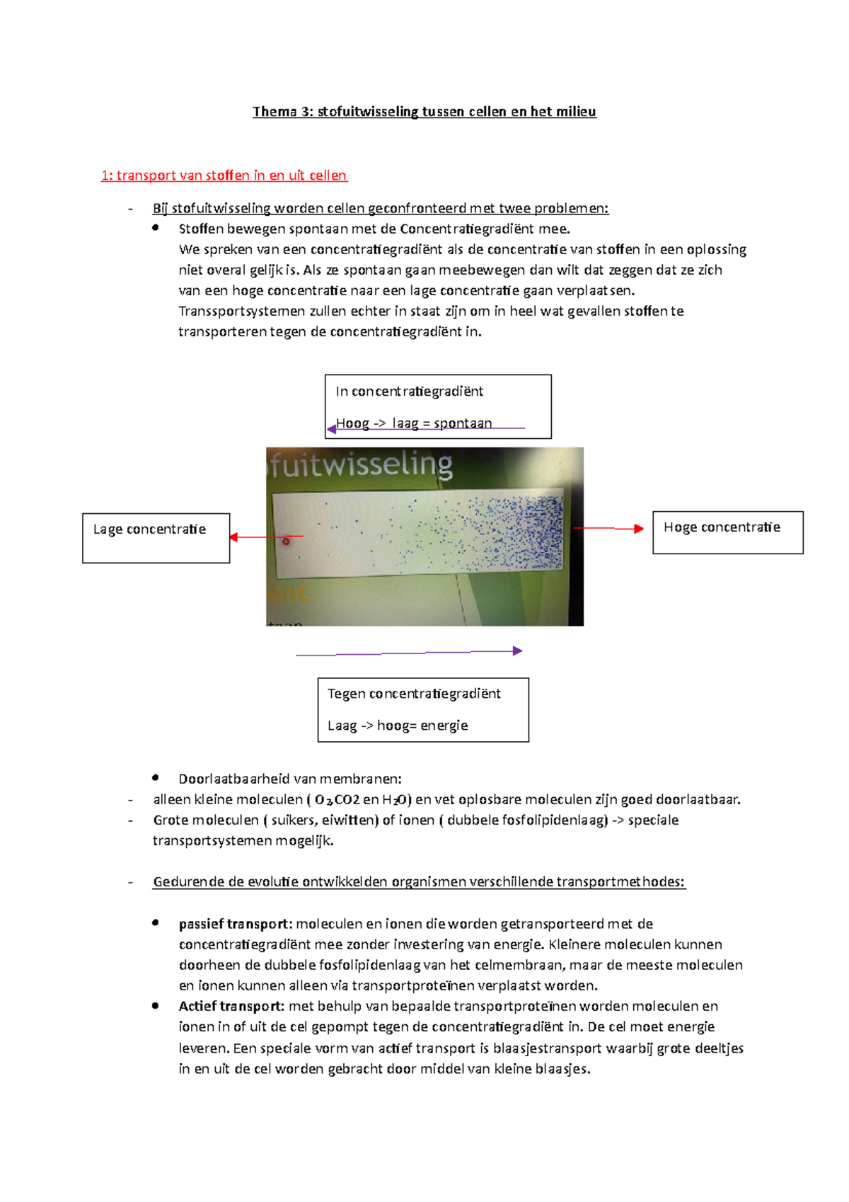 Bio thema 3: fotosynthese en O2 - Thema 3: stofuitwisseling tussen ...