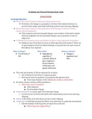 Exam 4 Learning Objectives - Week 13: Explain the four main types of ...