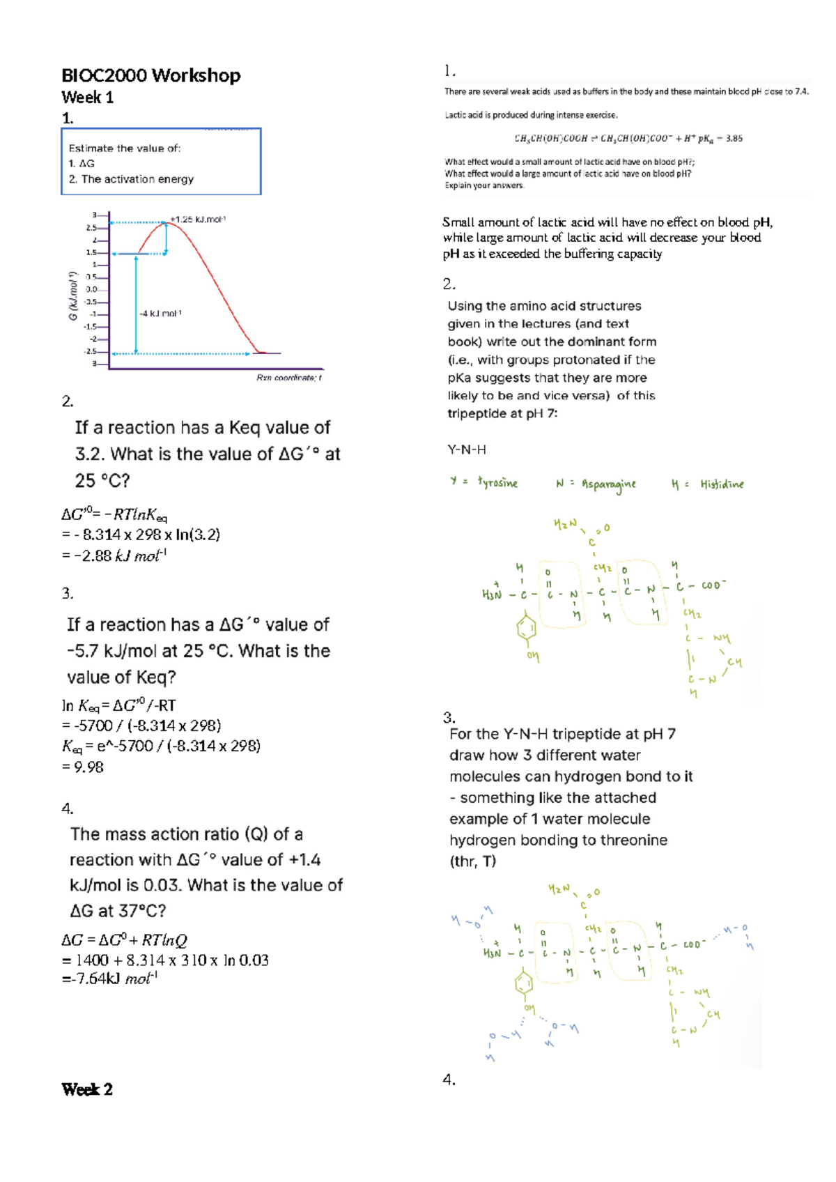 BIOC2000 Workshop - BIOC2000 Workshop Week 1 1. 2. ∆𝐺’ 0 = −𝑅𝑇𝑙𝑛𝐾eq = - 8 x 298 x ln(3) = −2 𝑘𝐽 ...