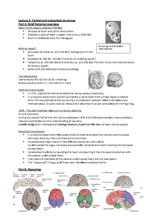 Lecture 3: Foundations of Neuroscience - Lecture 3: Visual System Part ...
