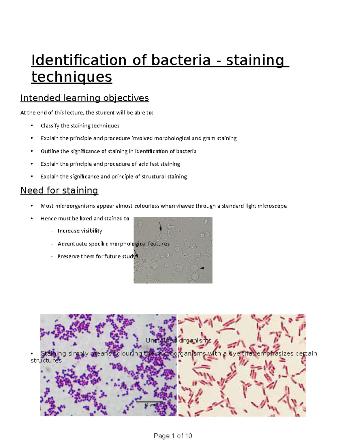 Chapter - 12 Identification staining - Identification of bacteria ...