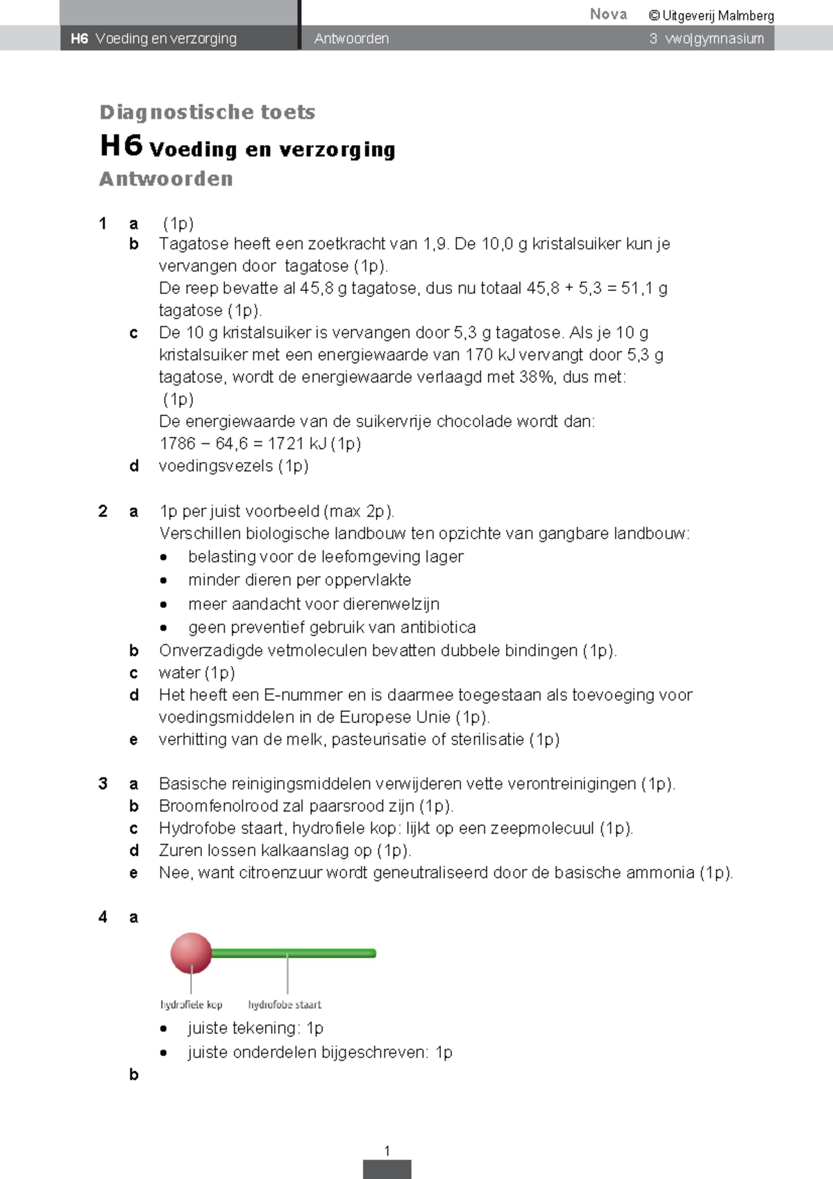 Antw scheil - info - Nova © Uitgeverij Malmberg H6 Voeding en verzorging Antwoorden 3 vwo ...