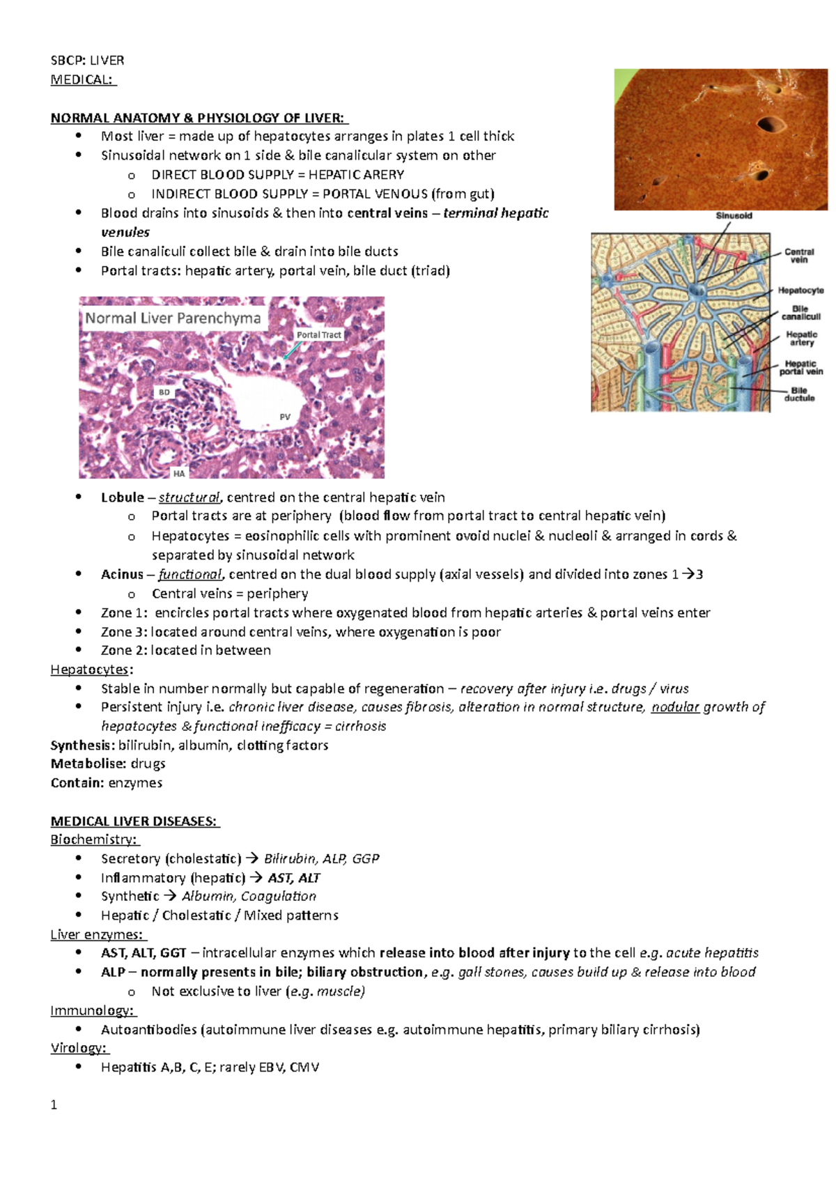 1. Liver Pathology Notes - MEDICAL : NORMAL ANATOMY & PHYSIOLOGY OF ...