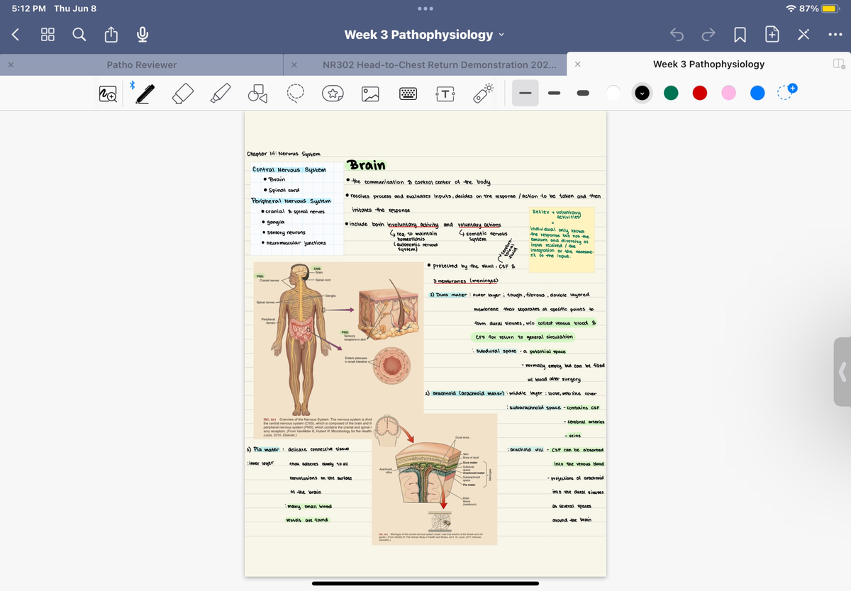 IMG 0550 - Notes - NR-302 - Studocu