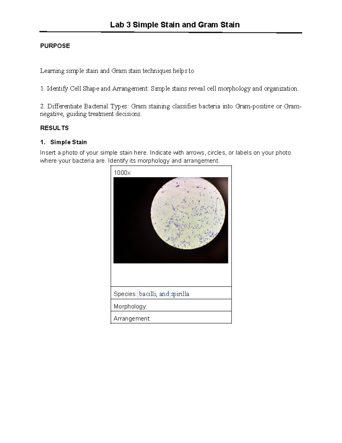 Lab3 Report Simple Stain and Gram Stain - Lab 3 Simple Stain and Gram Stain PURPOSE Learning ...
