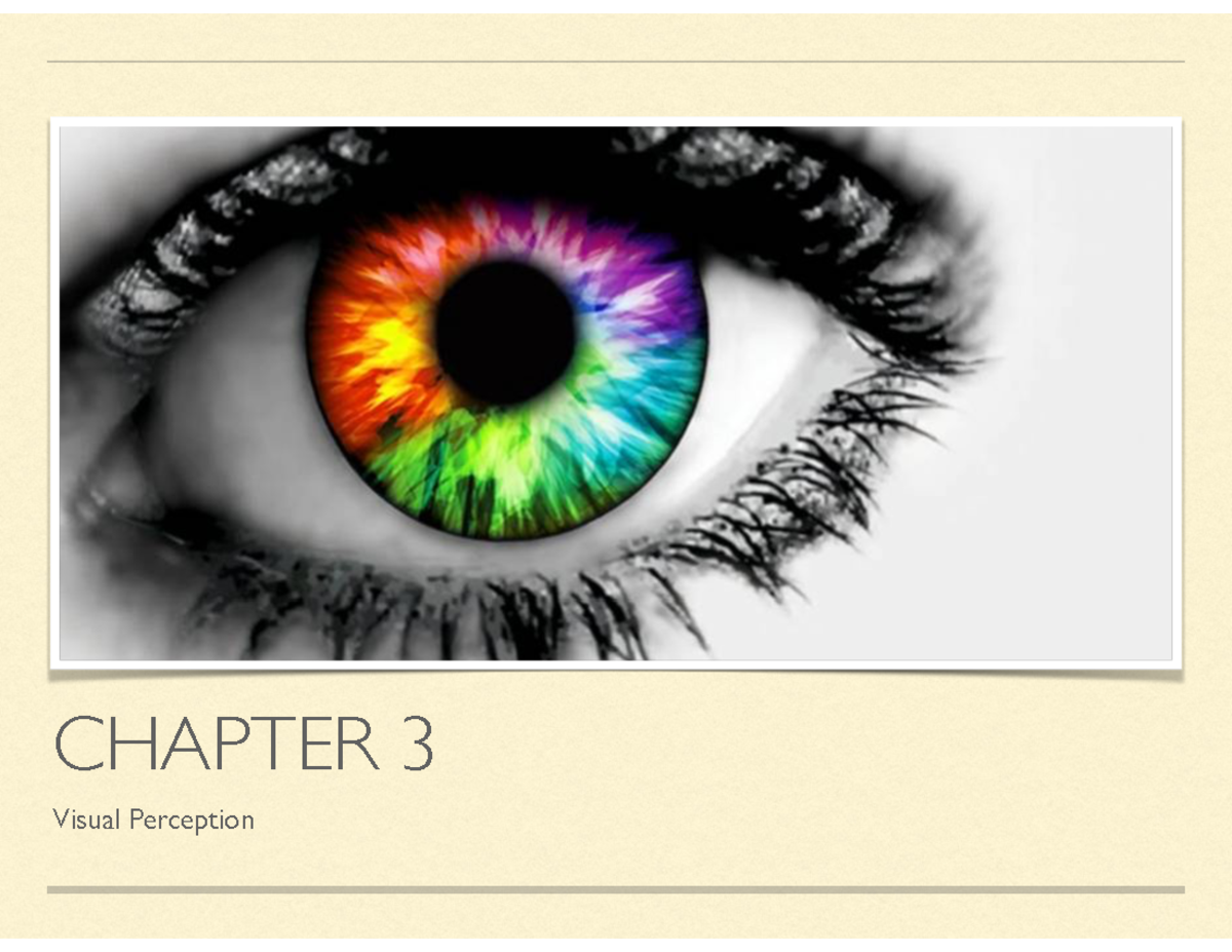 Chapter 3 - Visual Perception - CHAPTER 3 Visual Perception THE VISUAL ...