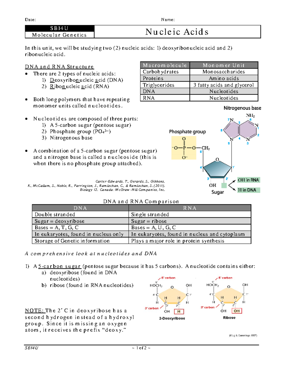 Definitions - DNA Structure - Date: Nam e: SBI4U ~ 1 of 2 ~ SBI 4 U M o ...