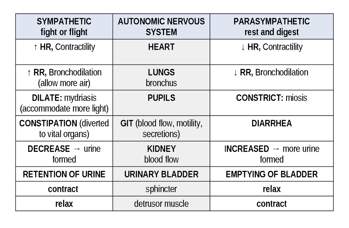 Wall notes - SYMPATHETIC fight or flight AUTONOMIC NERVOUS SYSTEM ...