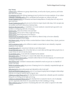 Ch 4 people in interaction - Terrible Magnificent Sociology Key Terms ...