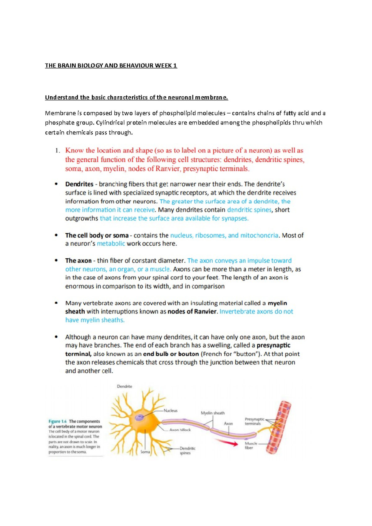 Bbb week 1 - Lecture notes 1 - THE BRAIN BIOLOGY AND BEHAVIOUR WEEK 1 ...