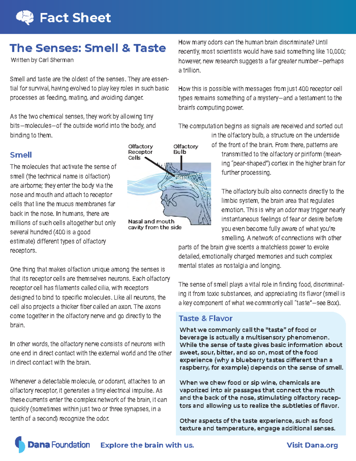 Fact sheet senses smell taste baw 2020 - Fact Sheet The Senses: Smell ...