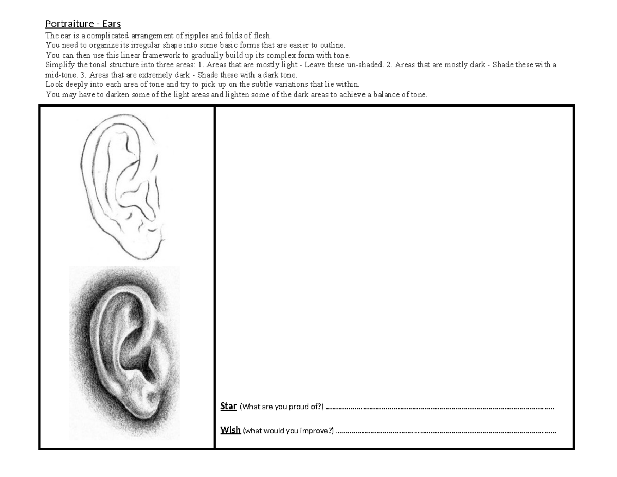 biology aqa ears write - Portraiture - Ears The ear is a complicated ...