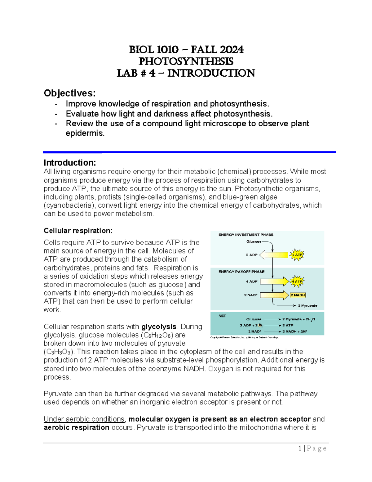 Lab 4 - Introduction and Protocol - F2024 - BIOL 1010 – FALL 2024 ...