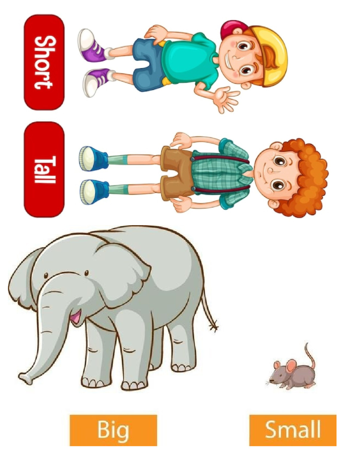Opuestos - ingles - Short 1a Big Small Short 1a Big Small T late x x ...