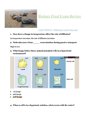 Bsc 2010 l lab topic 4 report - BSC 2010L: Principles of Biology 1 ...