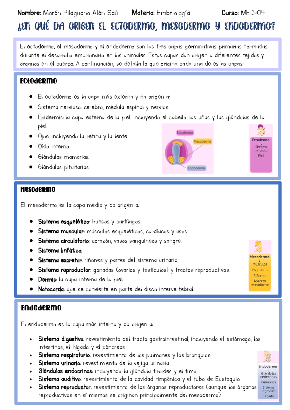 Embriologia tarea - El ectodermo, el mesodermo y el endodermo son las ...