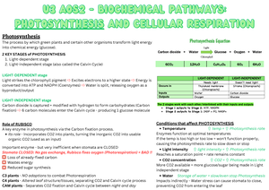video recap comparing photosynthesis and cellular respiration by amoeba ...