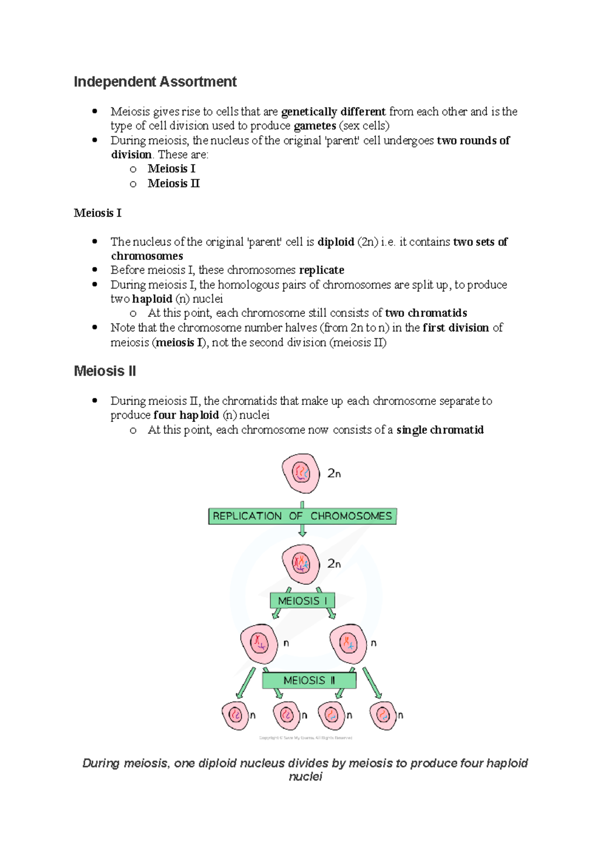 Reproduction AND Inheritence - Independent Assortment Meiosis gives ...