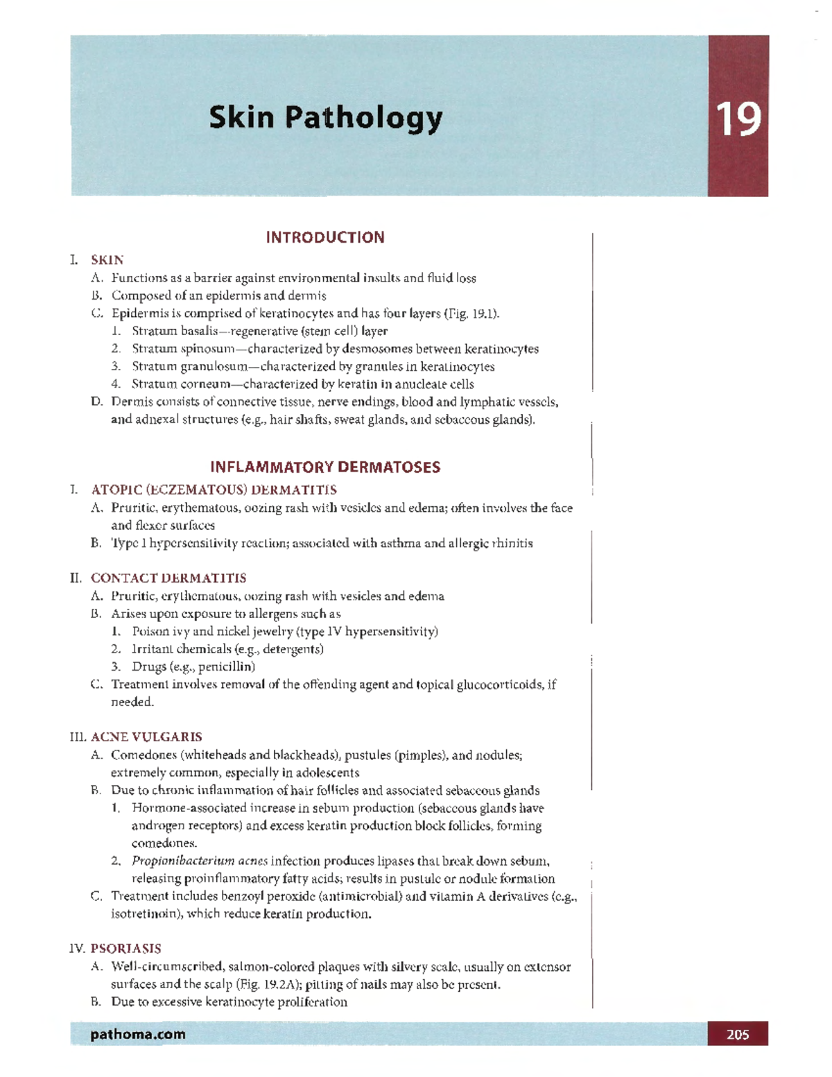Skin Pathology - niu - Skin Pathology INTRODUCTION I. SKIN A. Functions ...