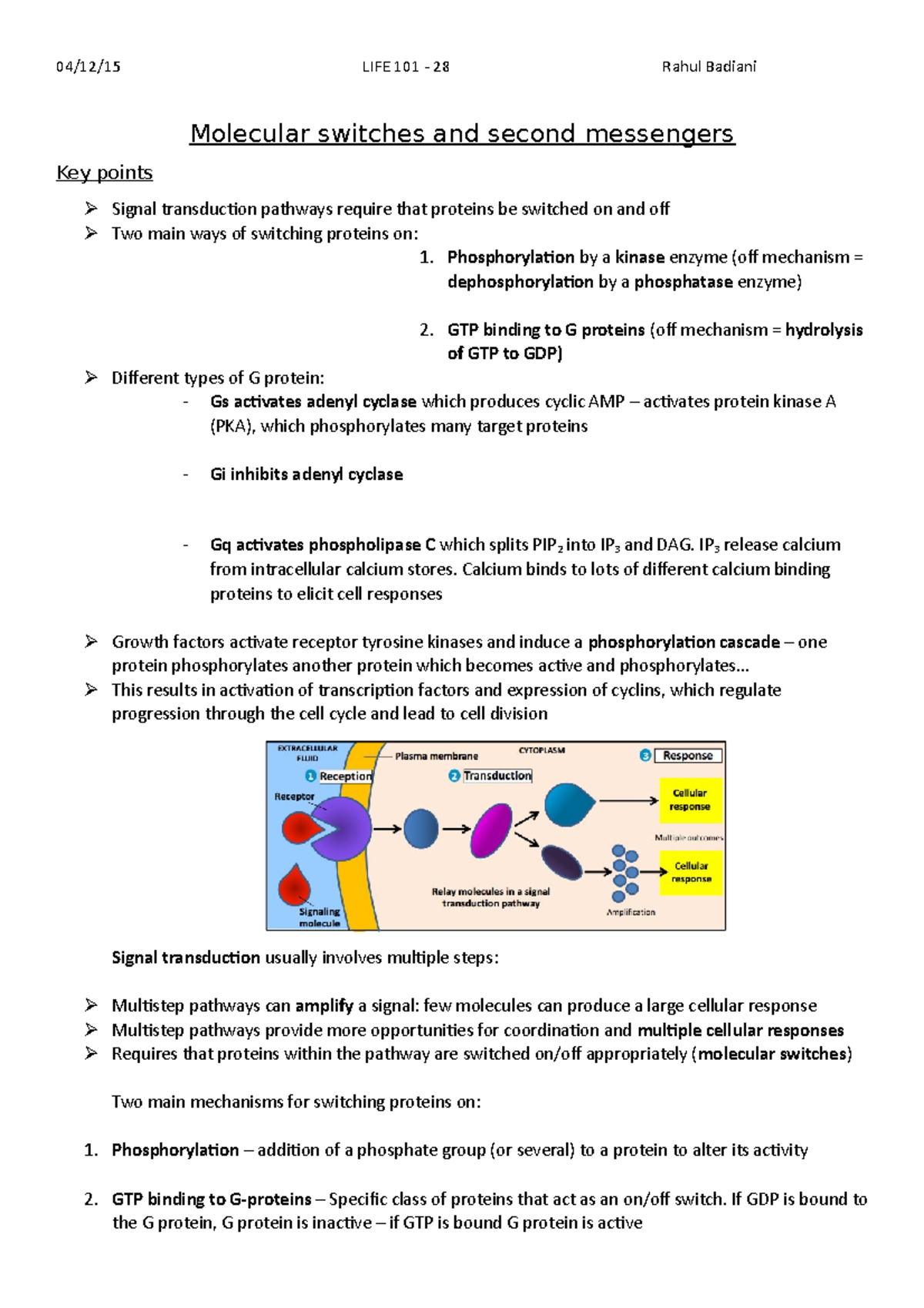 28 - Molecular switches and second messengers - Molecular switches and ...