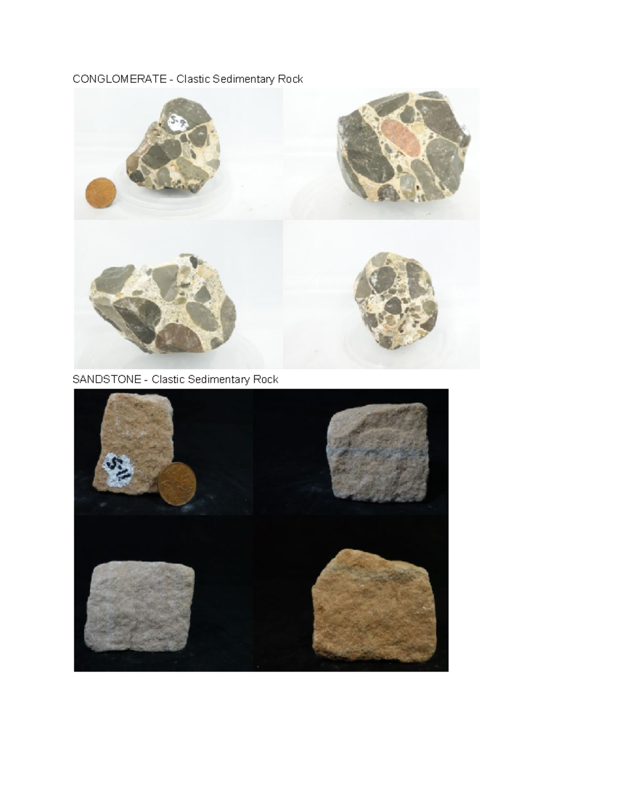 Types of Rocks - CONGLOMERATE - Clastic Sedimentary Rock SANDSTONE ...