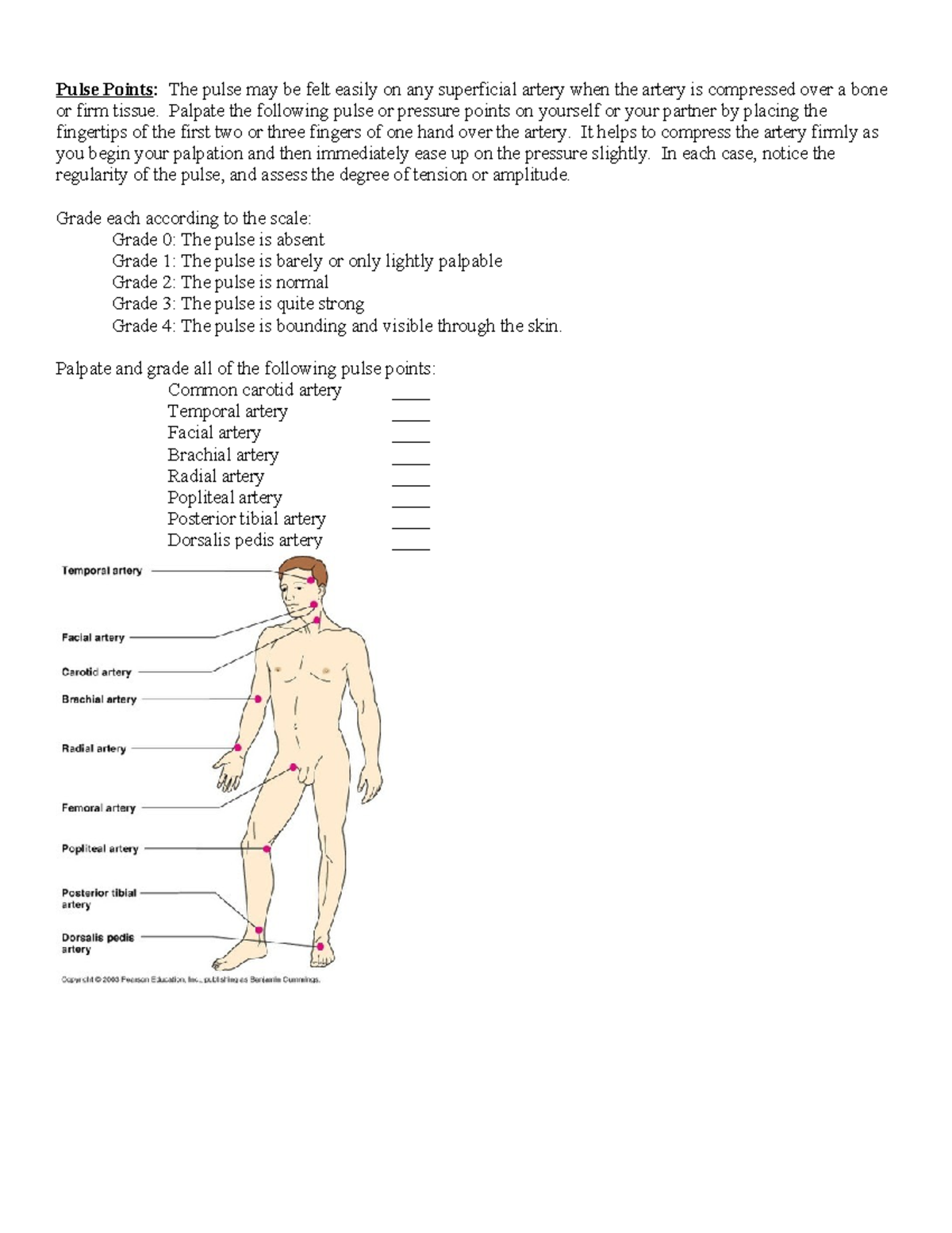 Pulse Point for lab - Pulse Points: The pulse may be felt easily on any ...