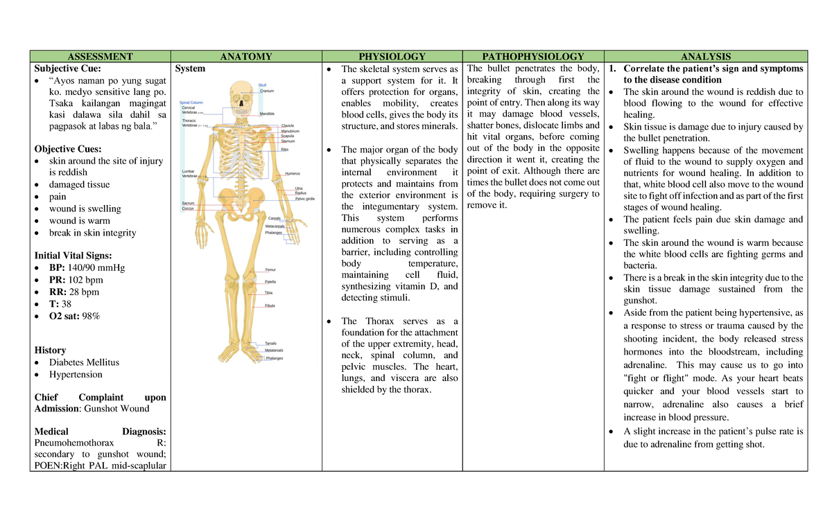SIC Bullet shot - ASSESSMENT ANATOMY PHYSIOLOGY PATHOPHYSIOLOGY ...
