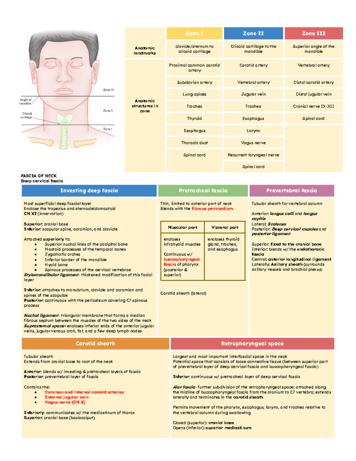 Anatomy- Head and Neck - Anatomic landmarks Zone I Zone II Zone III ...