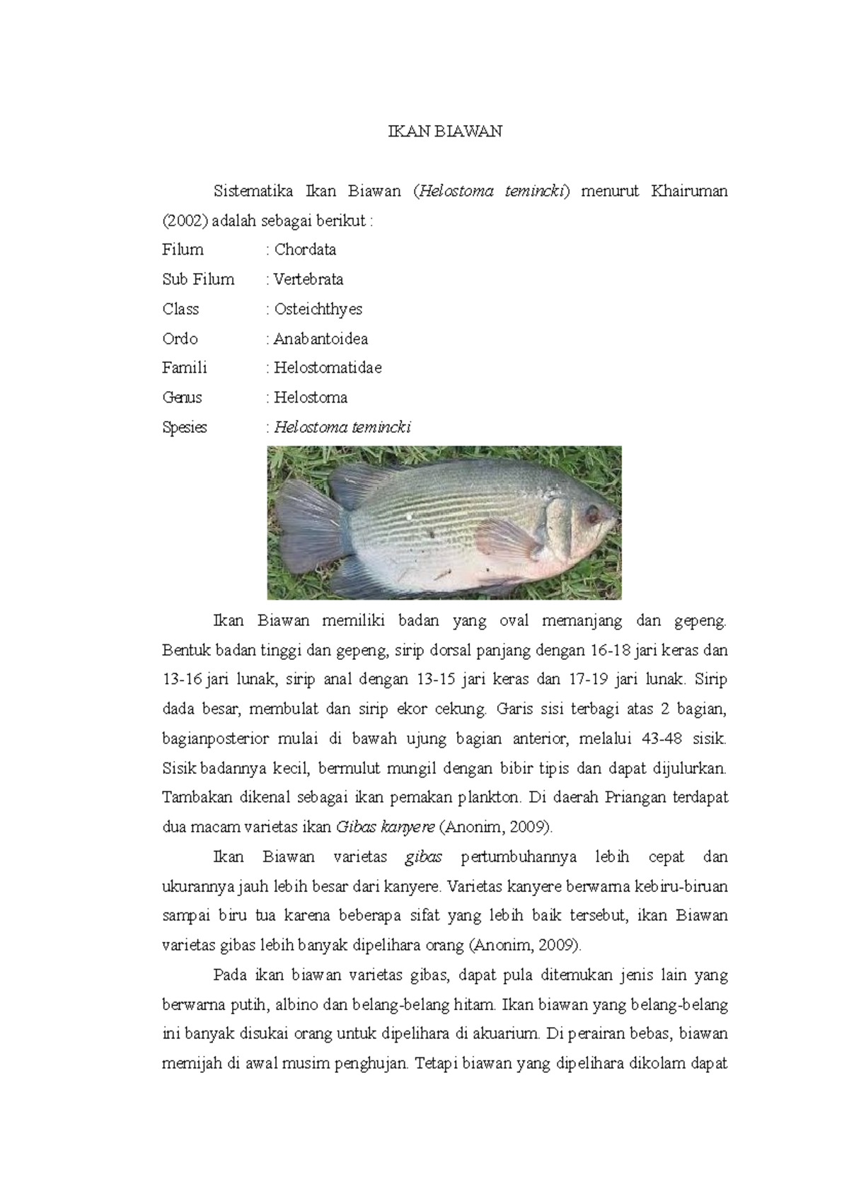 Penjelasan Ikan Biawan - IKAN BIAWAN Sistematika Ikan Biawan (Helostoma ...