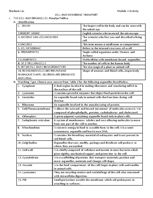 Module 5 Activity Proteins-1 - `Biochem Lec Module 5 Activity GROUP ...