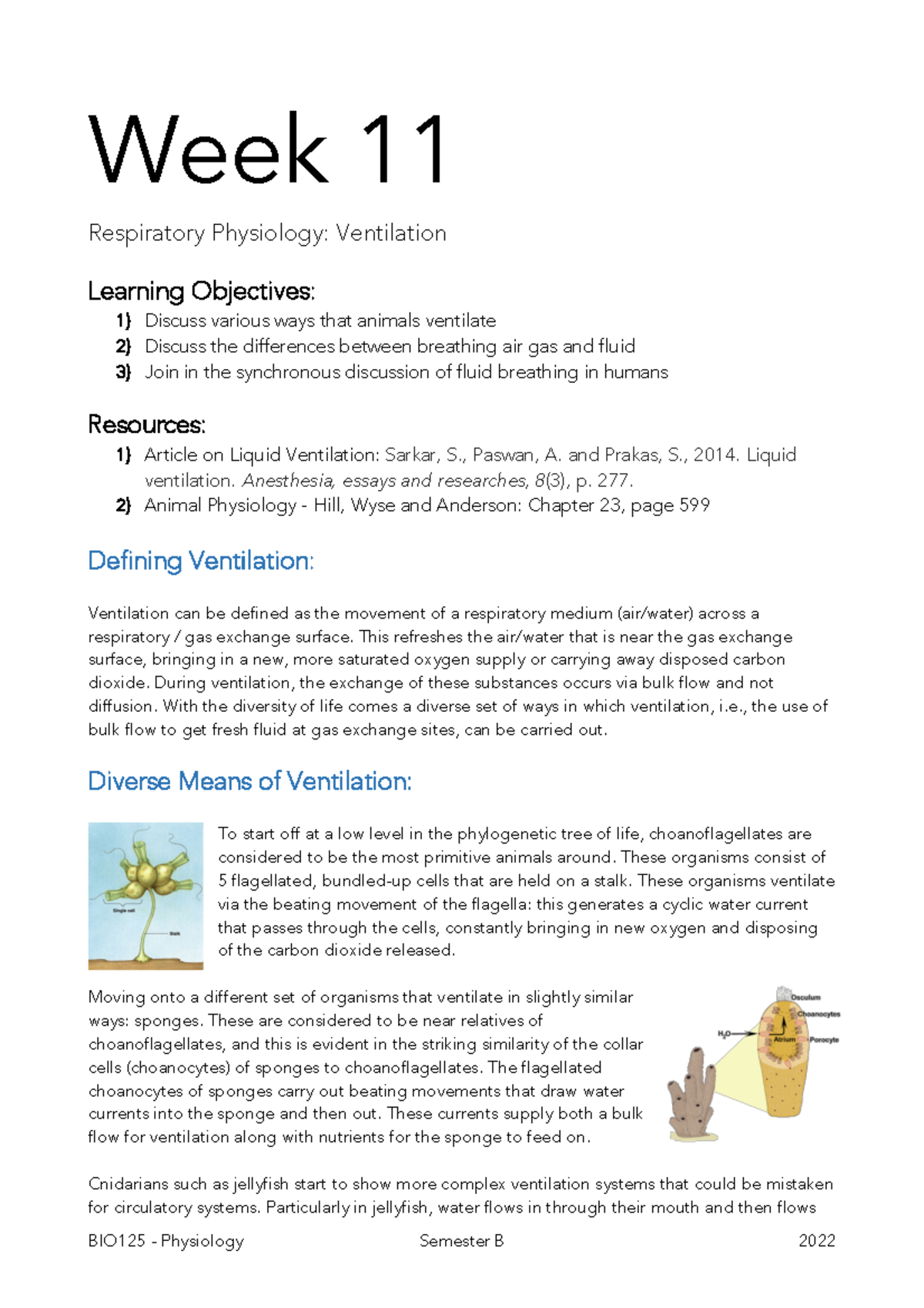 BIO125 Physiology Week 11 Ventilation - Week 11 Respiratory Physiology ...