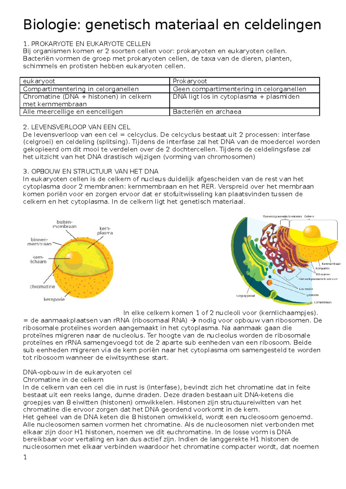 Biologie Genetich Materiaal En Celdeling Prokaryote En Eukaryote