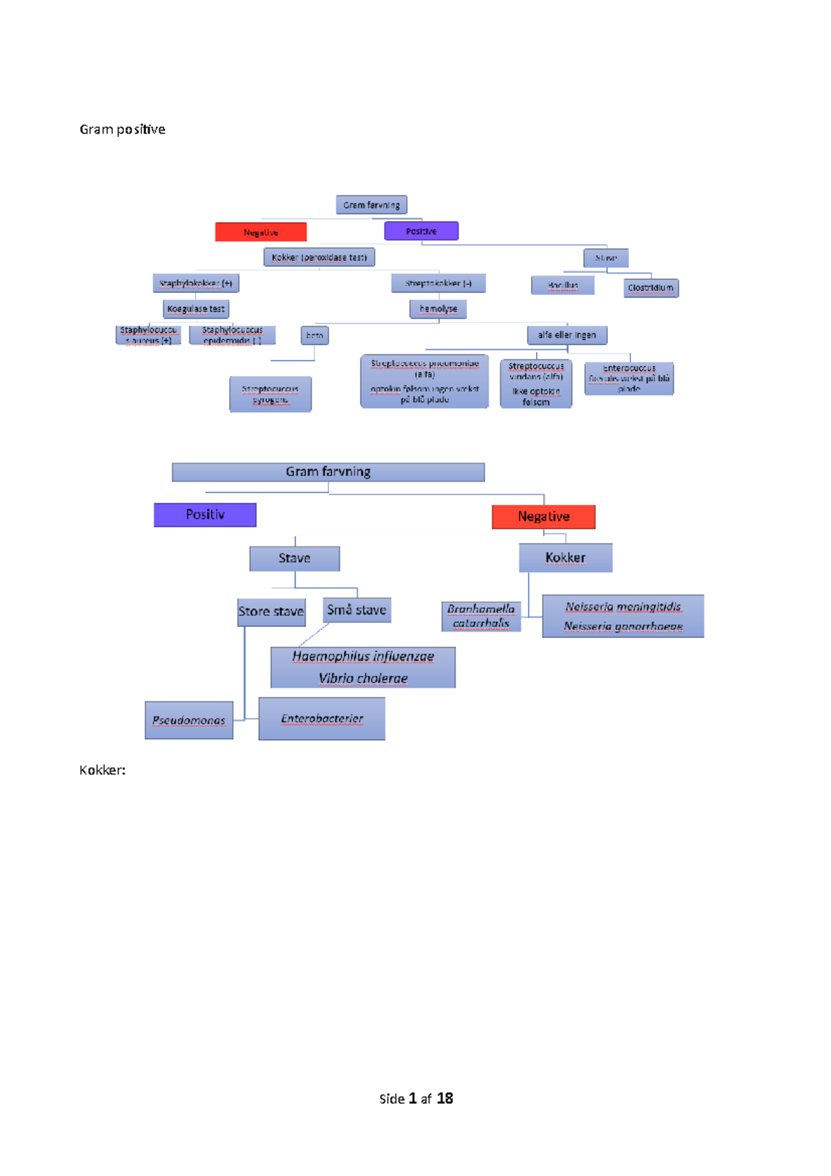 Information om bakterierne til laboratorieøvelser - Gram positive ...