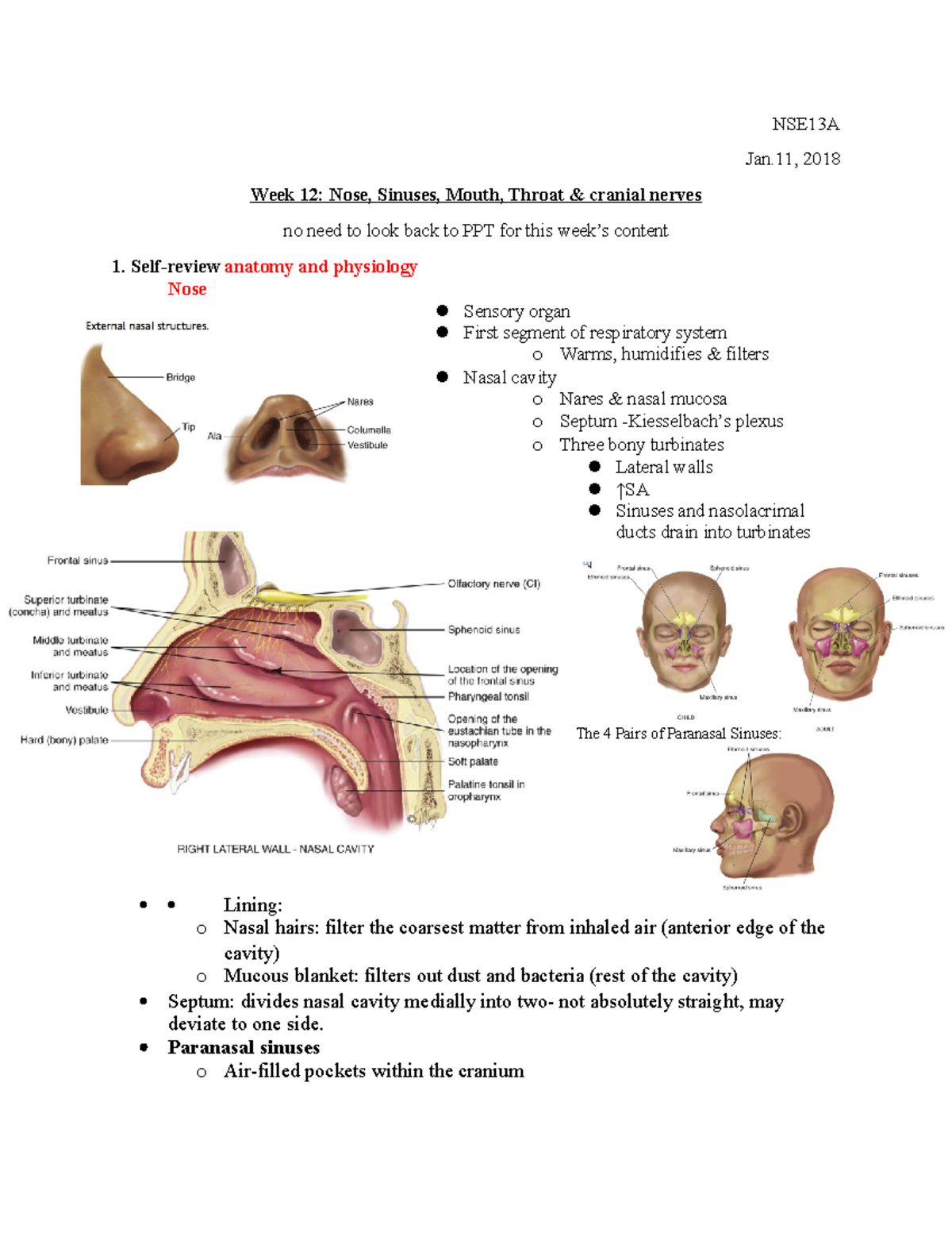 Week 12 Objectives - NSE13A Jan, 2018 Week 12: Nose, Sinuses, Mouth ...