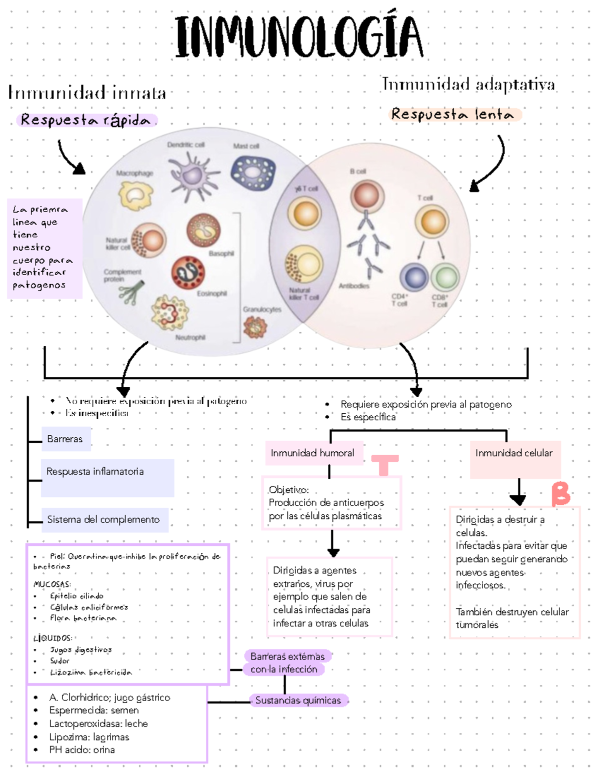 Apuntes de inmunologia - INMUNOLOGÍA Inmunidad innata Inmunidad ...