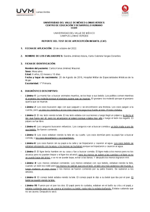 Manual prueba CAT-A - Leopold Bellaky Sonya Sorel Bellak Test de ...