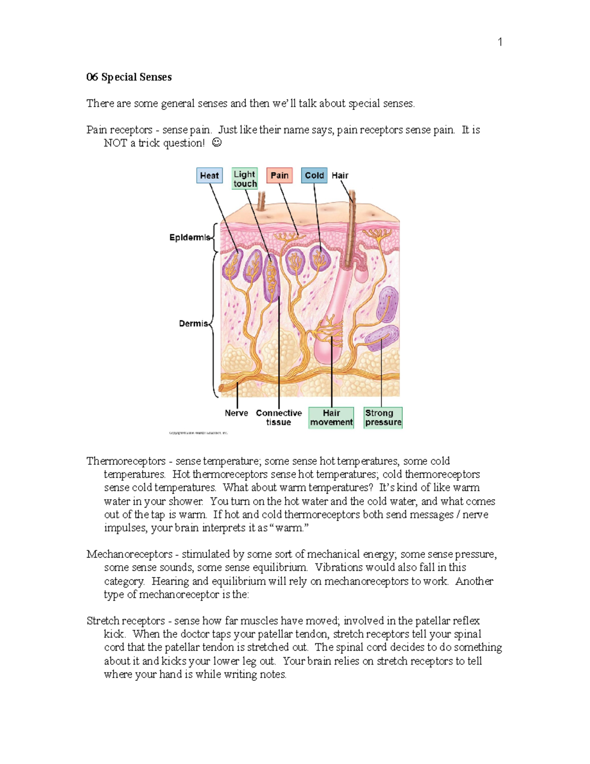 LN06 Special Senses - chapter 6 - 06 Special Senses There are some ...