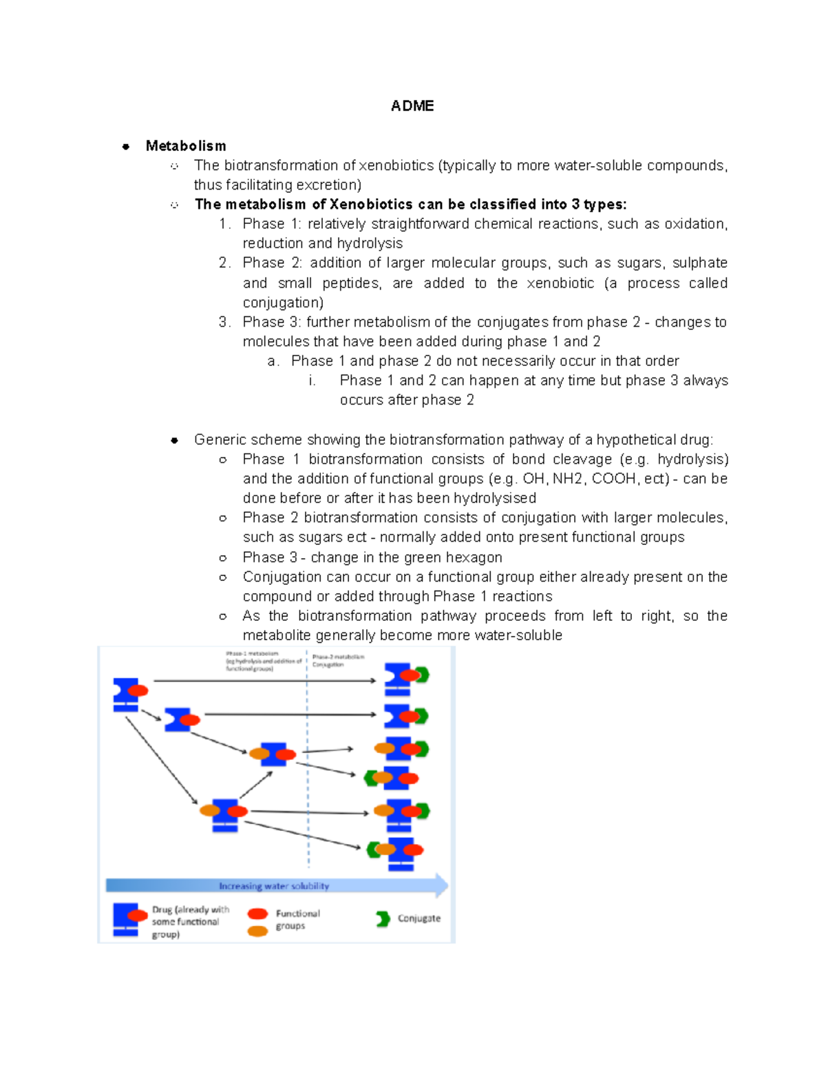 Lecture 4 ADME - Absorption and Distribution - ADME Metabolism The ...
