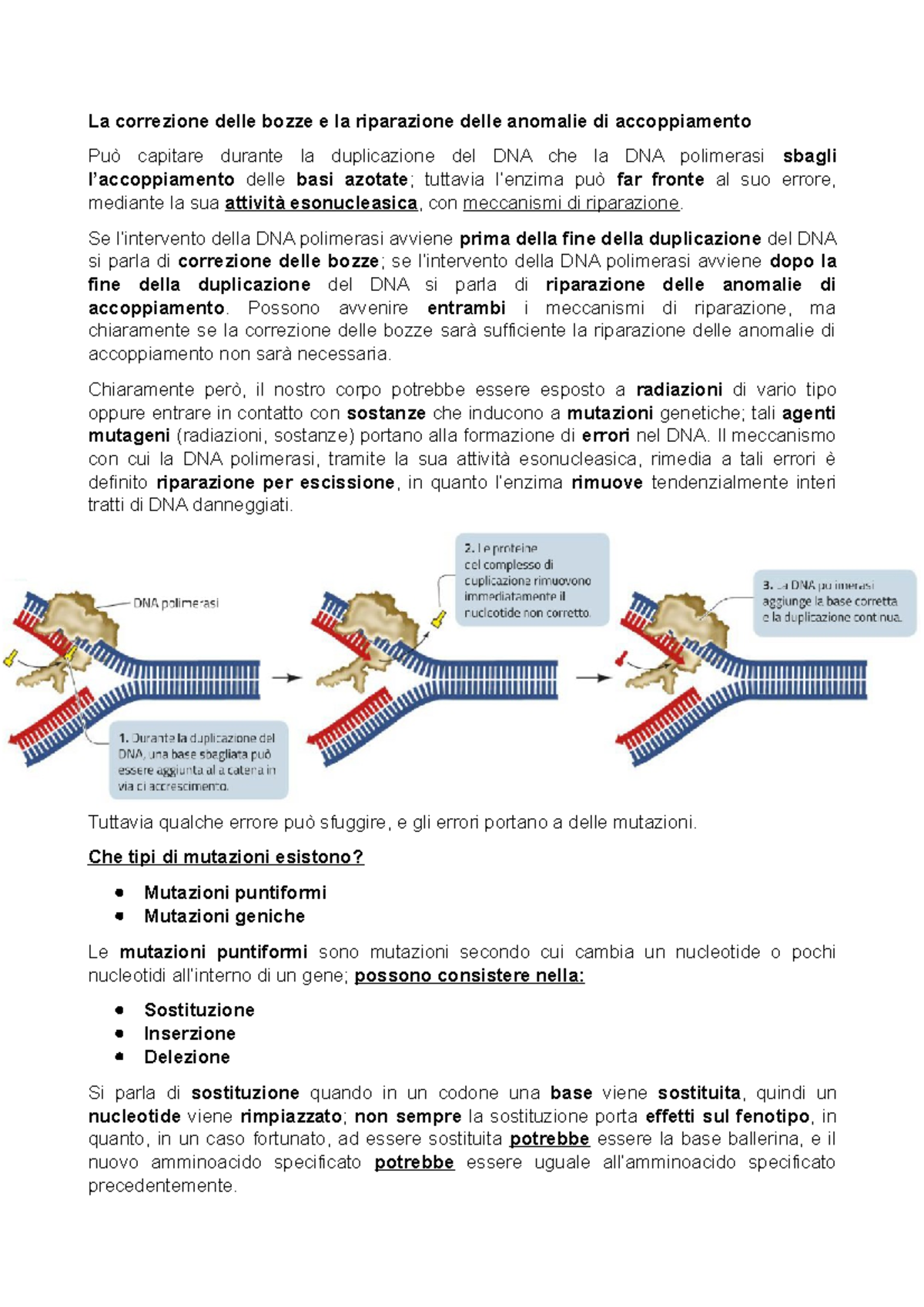 Sintesi Proteica, Regolazione DELL' Epressione Genica - La correzione ...